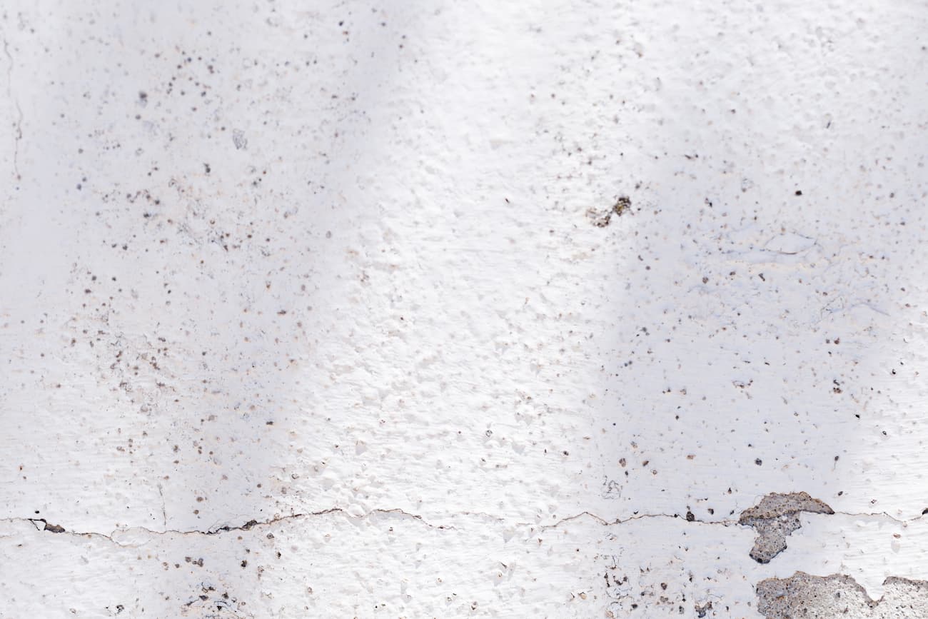 Replastering Guide: Transform Your Walls with Clean Fanatics