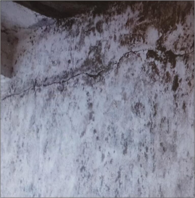 Wall Crack Repair Bangalore | Lasting Fix
