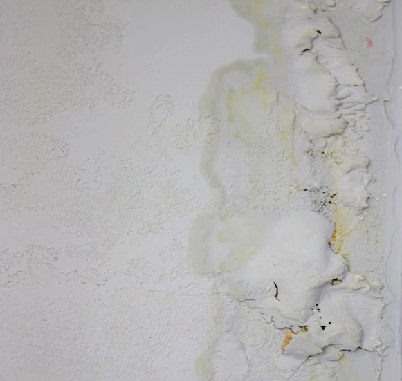 Efflorescence on Walls: Causes & Prevention Guide